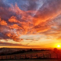 Easter eggs in December?…eh? – Telstales